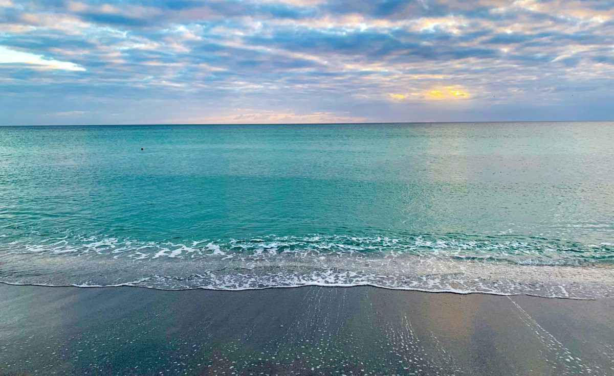 Let Florida Try — The James G. Martin Center for Academic Renewal