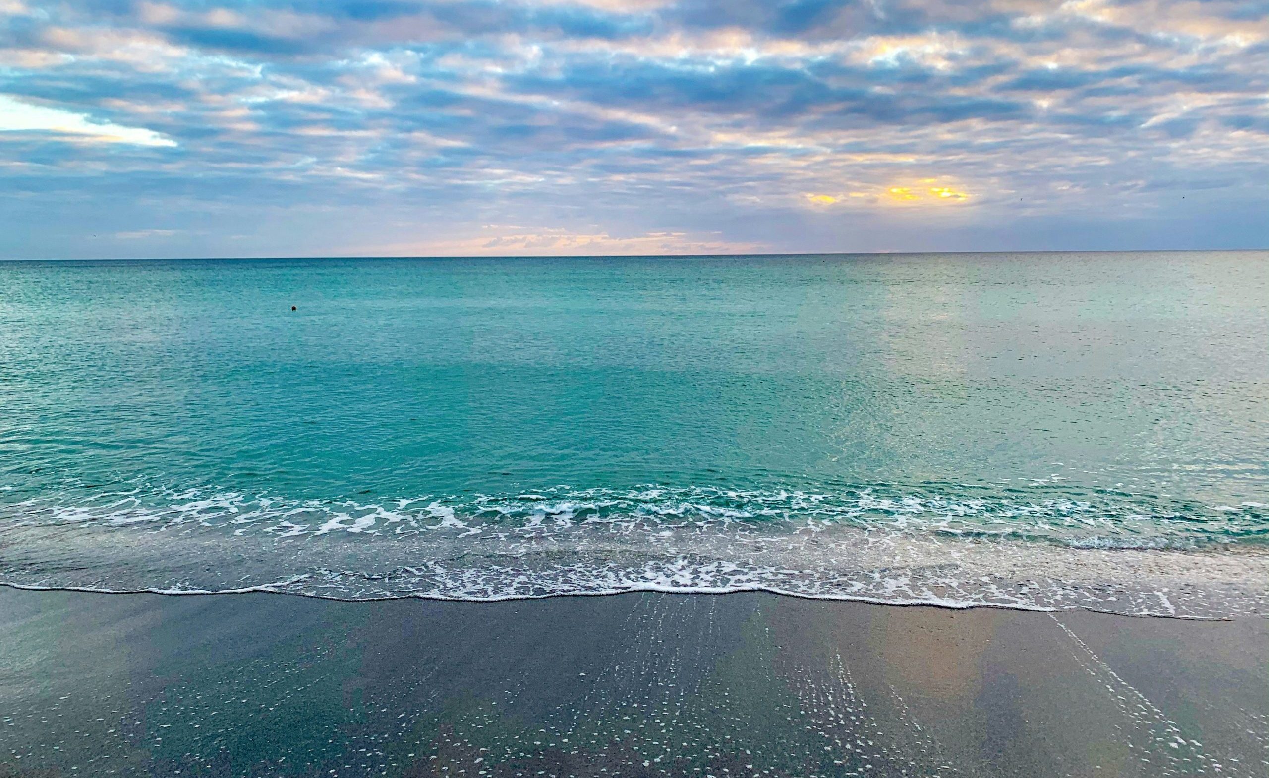 Let Florida Try — The James G. Martin Center for Academic Renewal